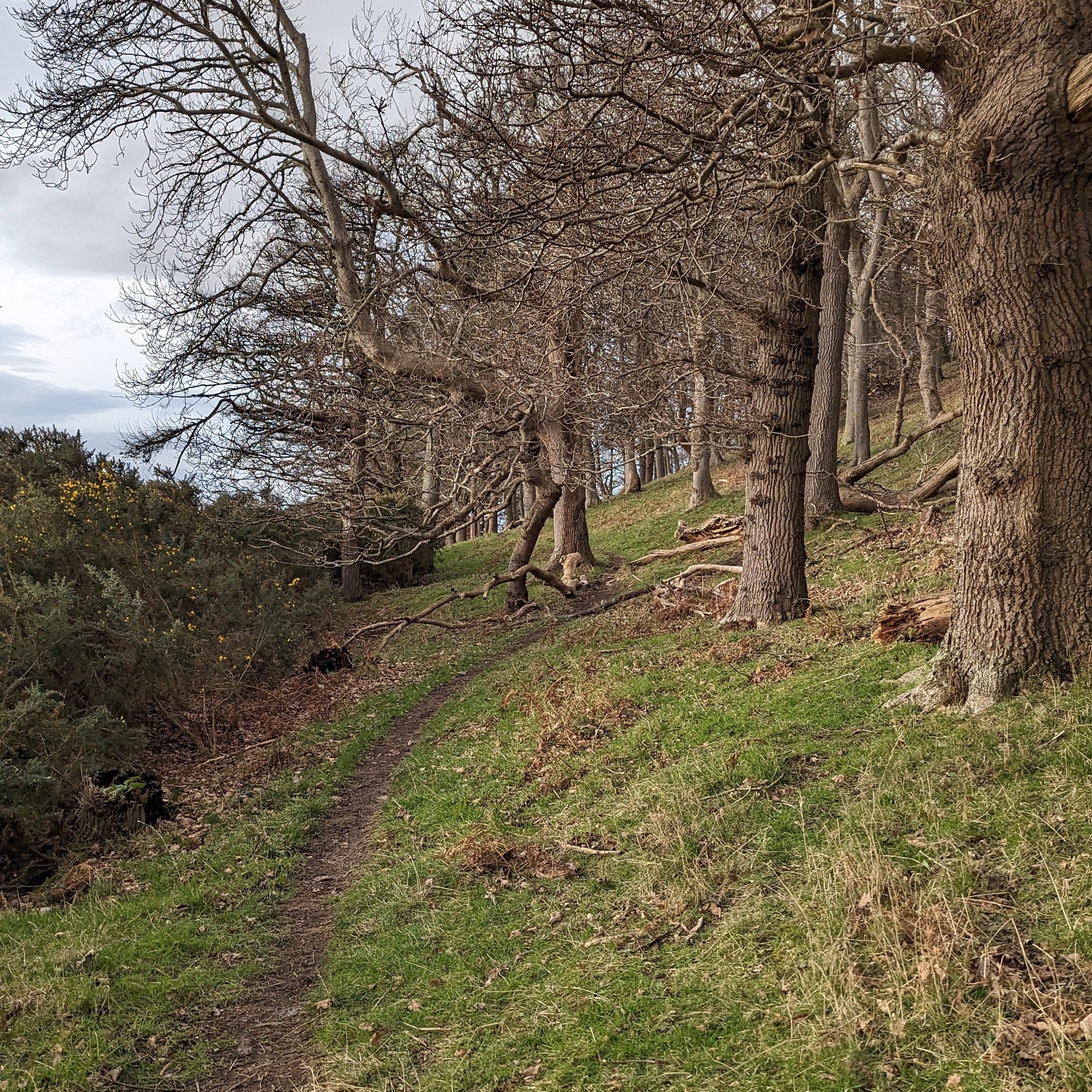 Moel y Gaer – a great short walk around an ancient hill fort with ...
