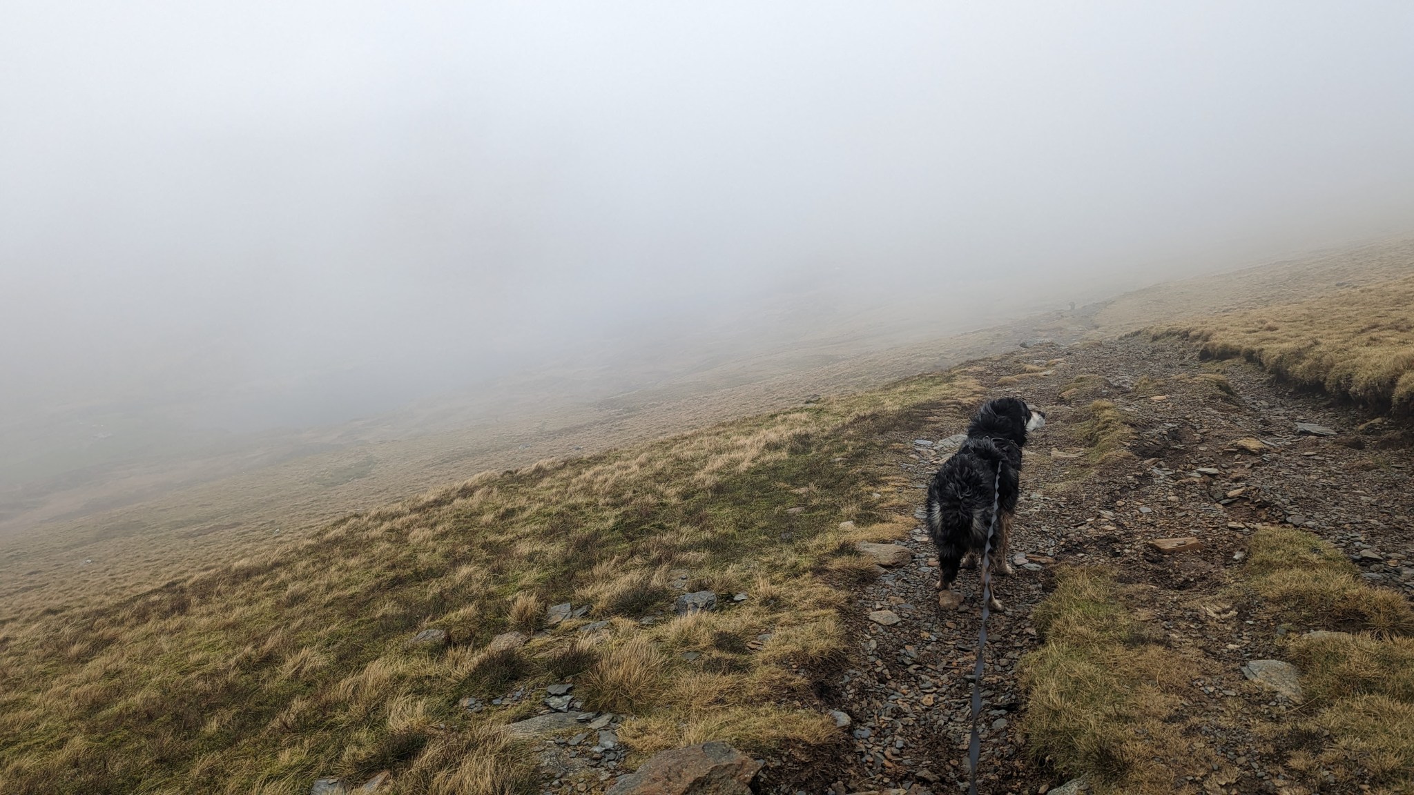Moel Siabod Walk – The Best Circular Route, Parking and other FAQ’s for ...