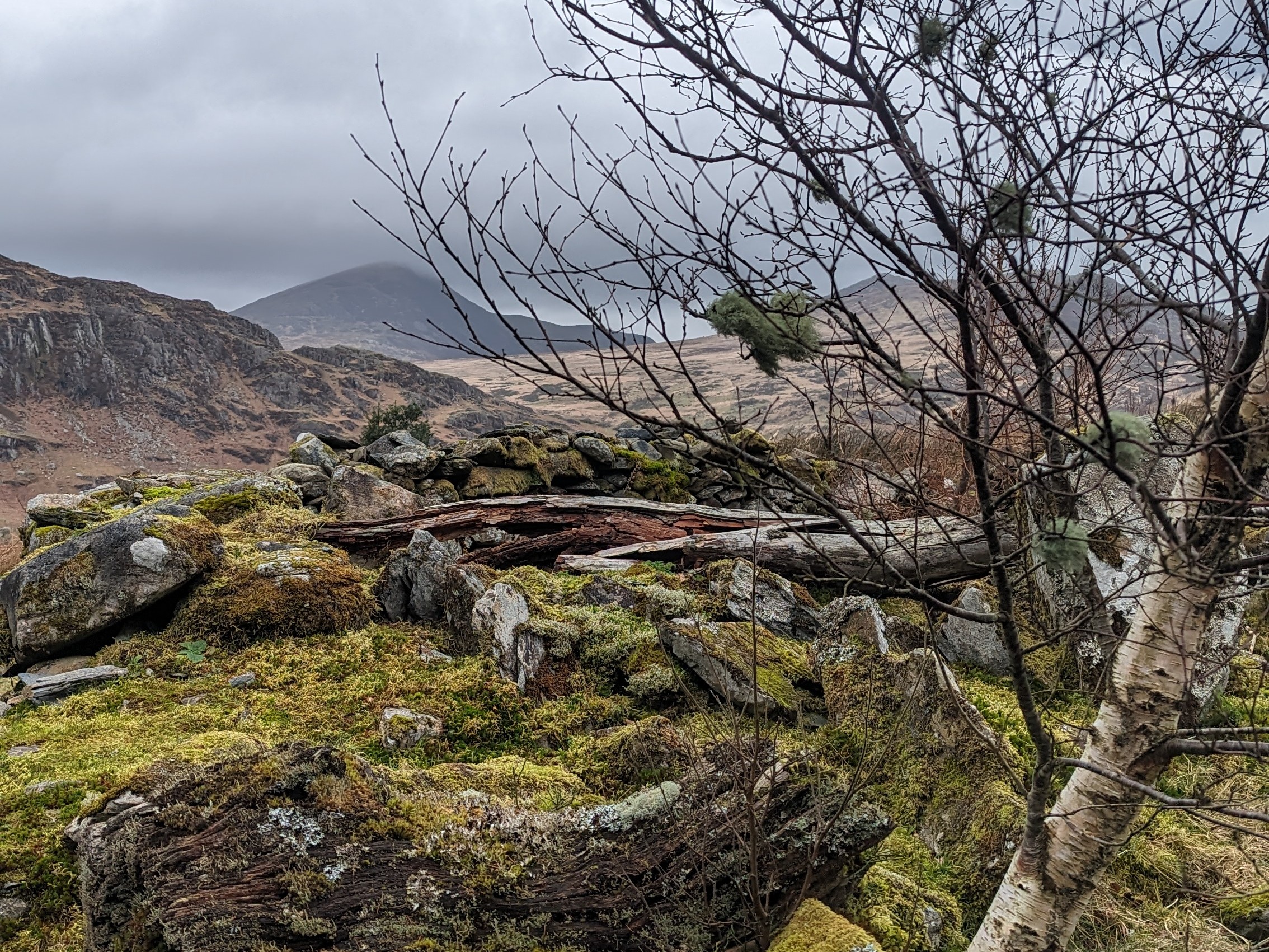 Moel Siabod Walk – The Best Circular Route, Parking and other FAQ’s for ...