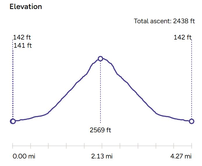 Hiking Moel Hebog: A Scenic Route in Snowdonia National Park