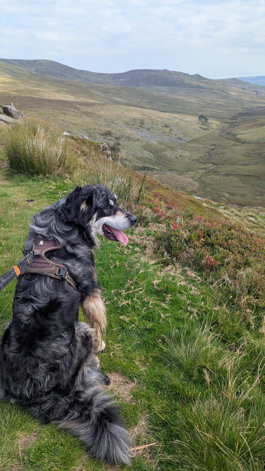 Explore the Eerie Beauty of Llyn Dulyn's Circular Walk