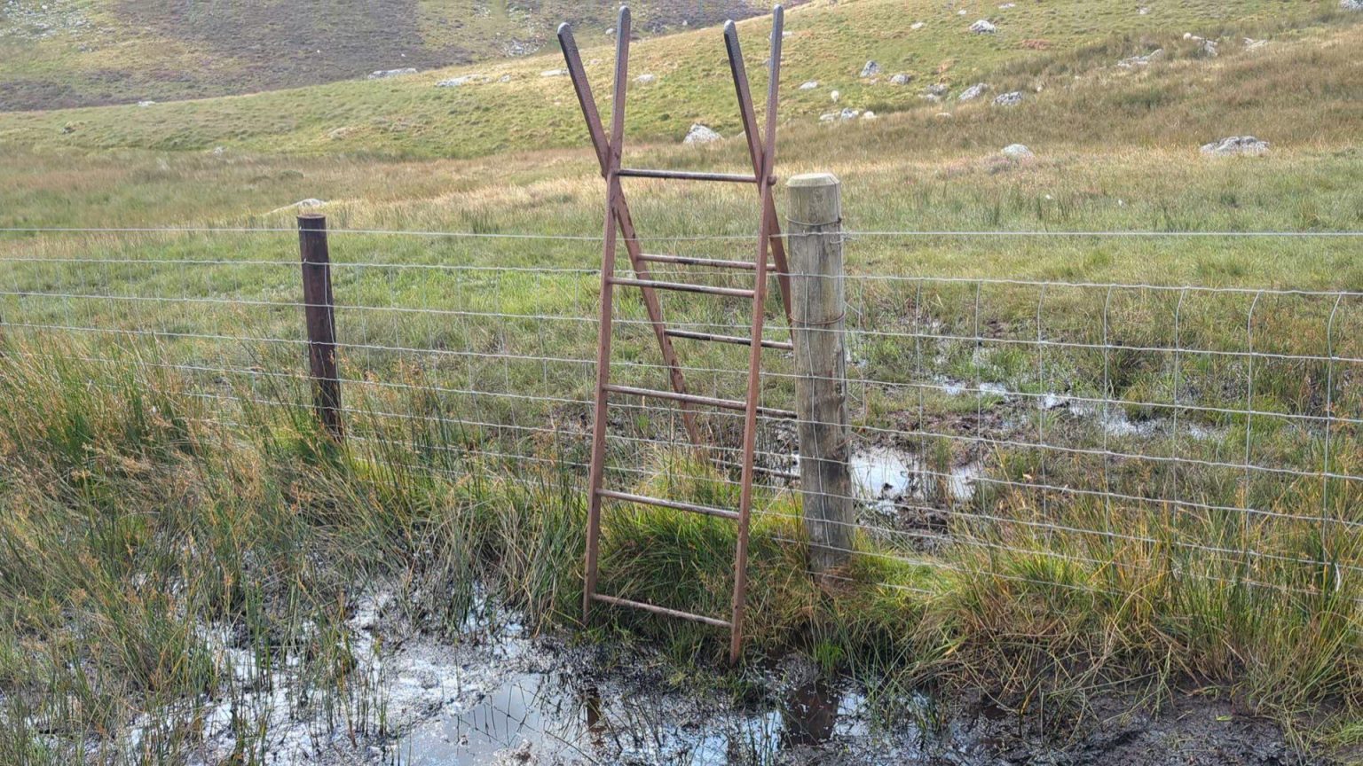 Explore the Eerie Beauty of Llyn Dulyn's Circular Walk