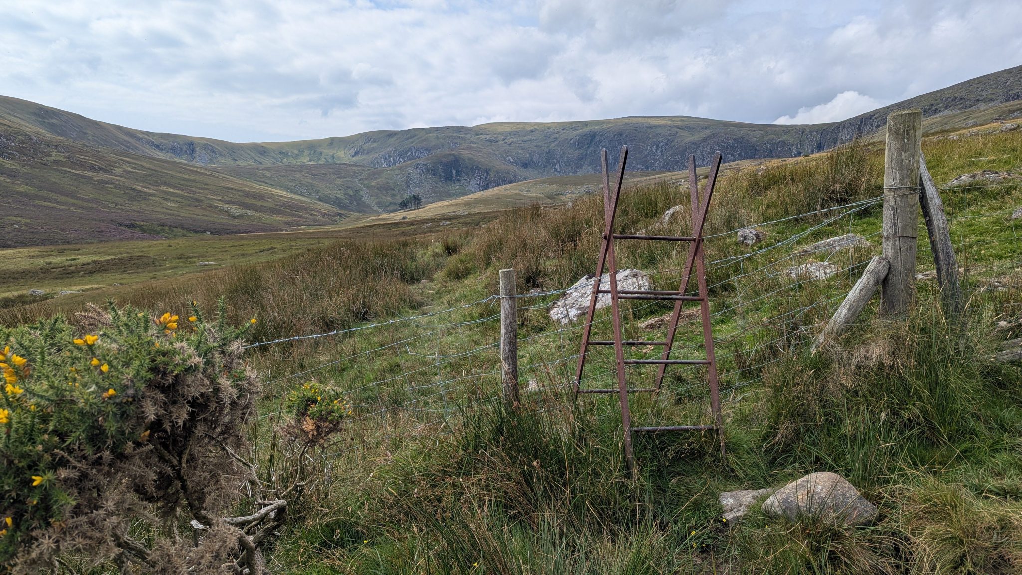 Explore the Eerie Beauty of Llyn Dulyn's Circular Walk