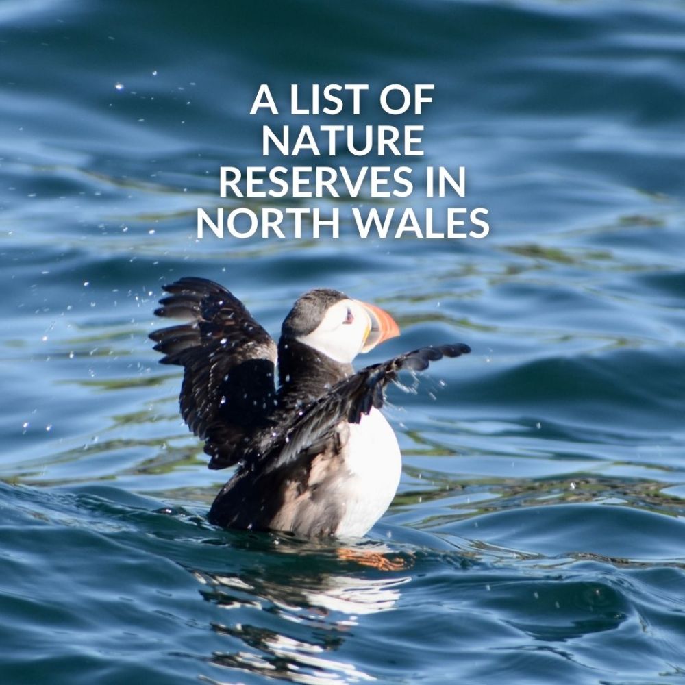 NEARLY UPHILL – GREAT WALKS IN NORTH WALES & MORE! – Walking Routes ...